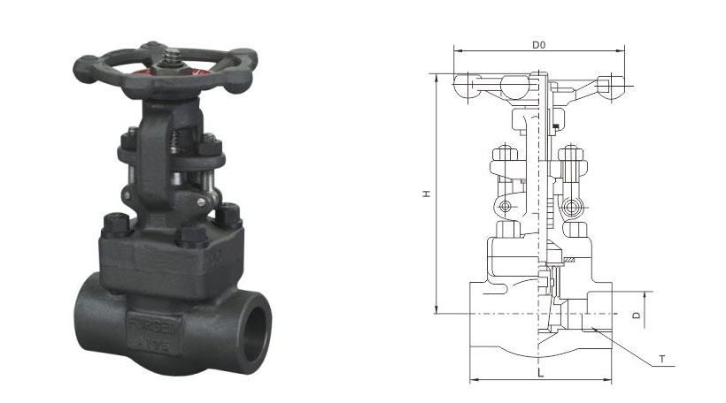 锻钢内螺纹闸阀-强大阀门集团有限公司